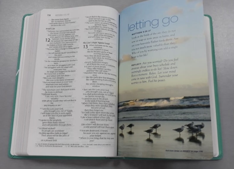 NIV Renew Bible: Refresh Your Heart, Soul and Mind | Bible Society ...